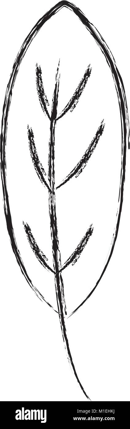 grunge tropical and natural tree leaf design vector illustration Stock ...