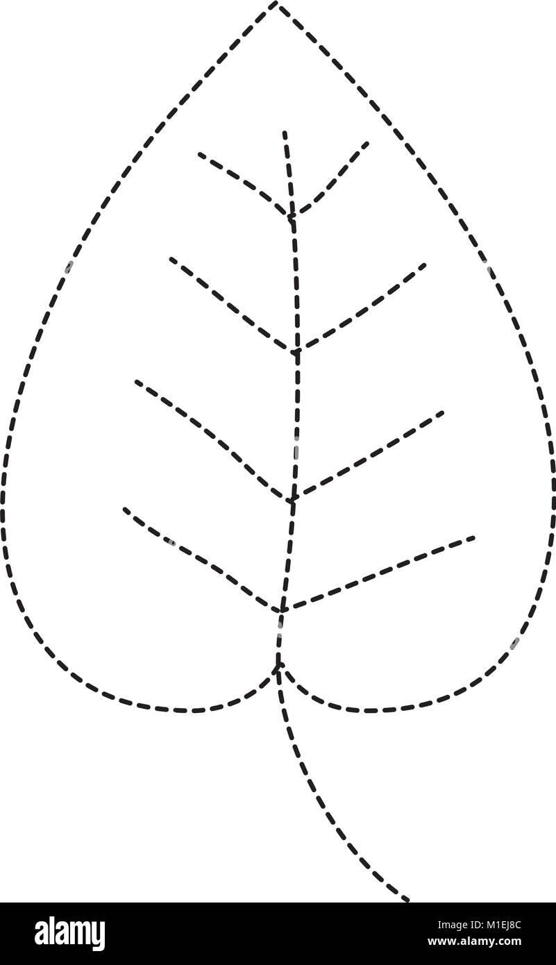 dotted shape tropical natural leaf plant design vector illustration ...