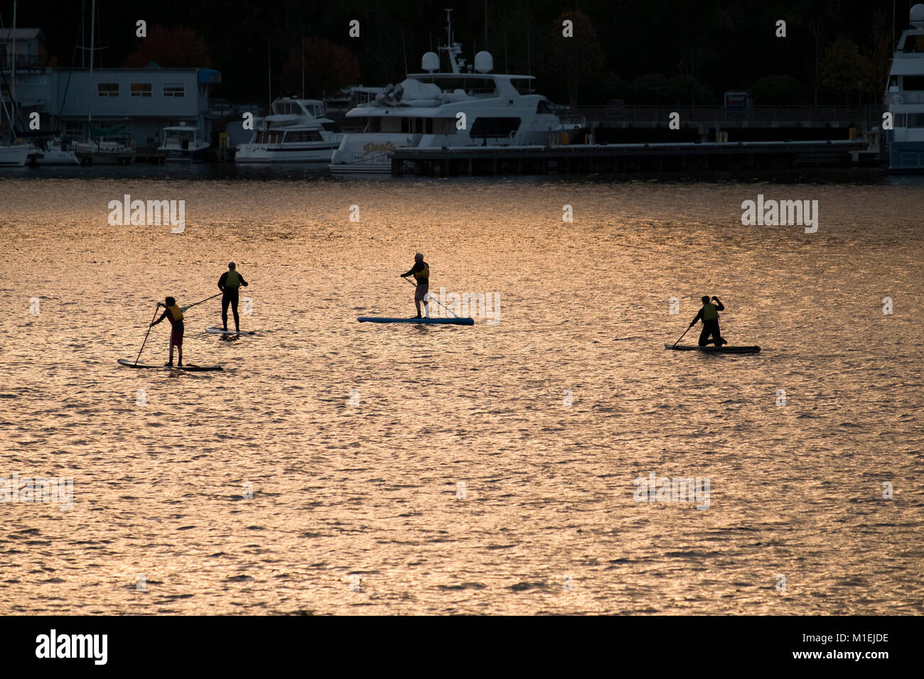 United States, Washington. Seattle, Lake Union, paddle boarding Stock ...