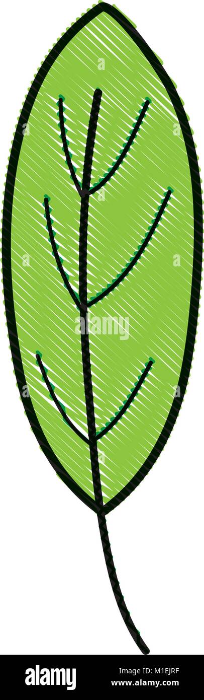 grated tropical and natural tree leaf design vector illustration Stock ...