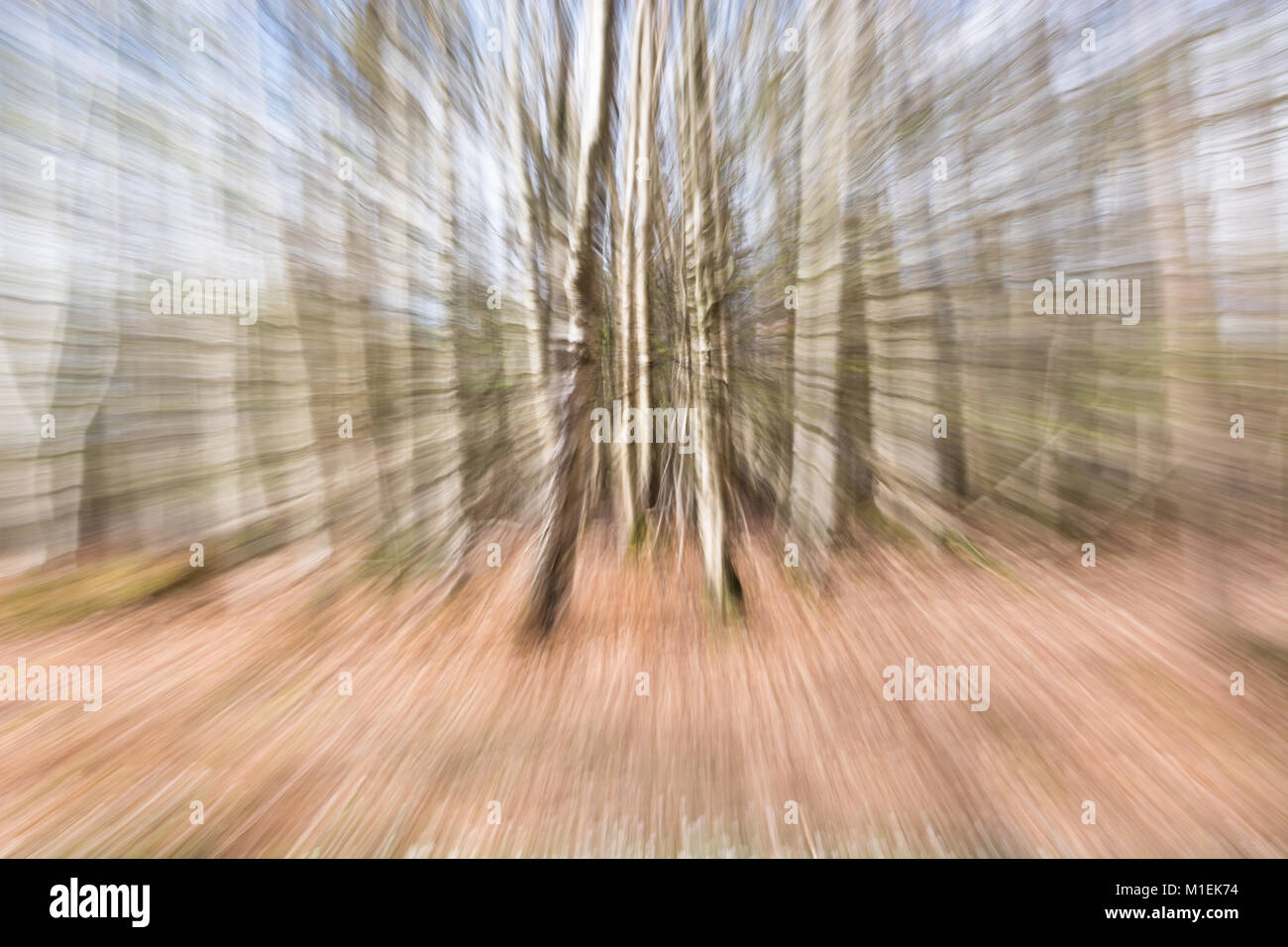 Burst wood hi-res stock photography and images - Alamy