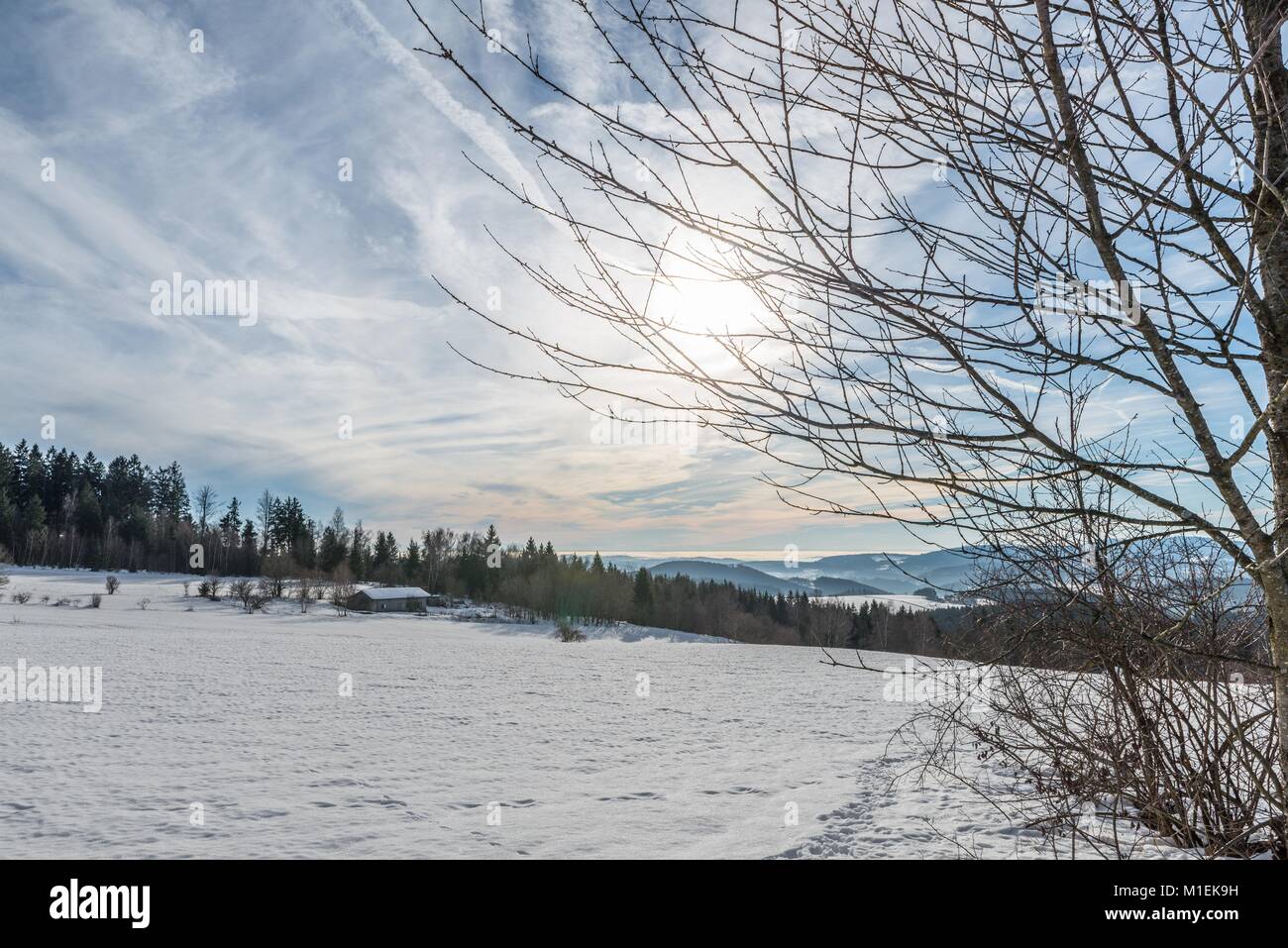 Snow covered Landscape of Bavarian forest with view to the alps ...