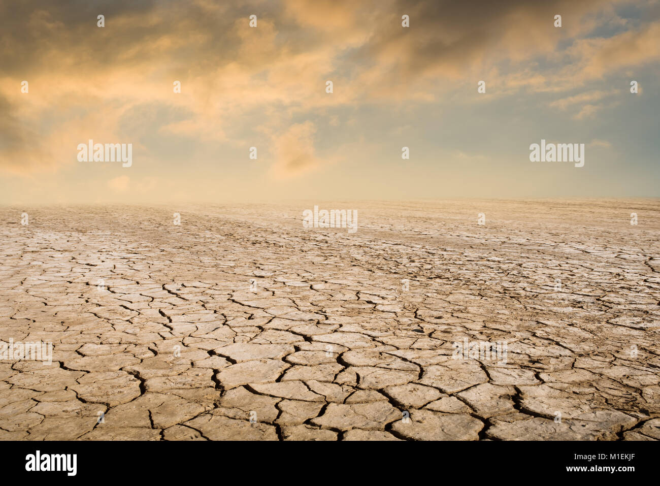 Drought land against a sunset sky with clouds Stock Photo - Alamy