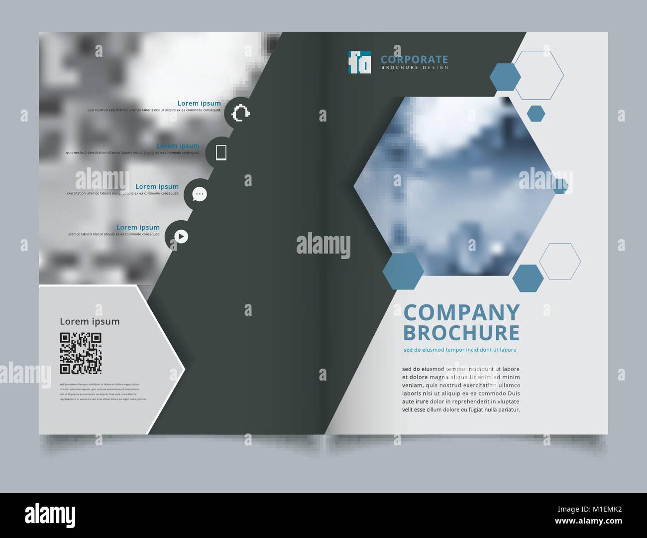 Brochure geometric hexagon layout design template, Annual report ...