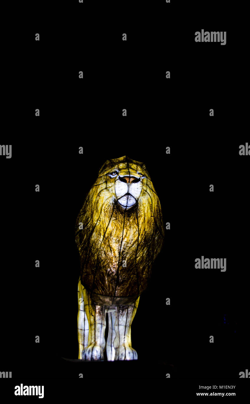 life size male Lion lantern Chester zoo 2016 Stock Photo - Alamy