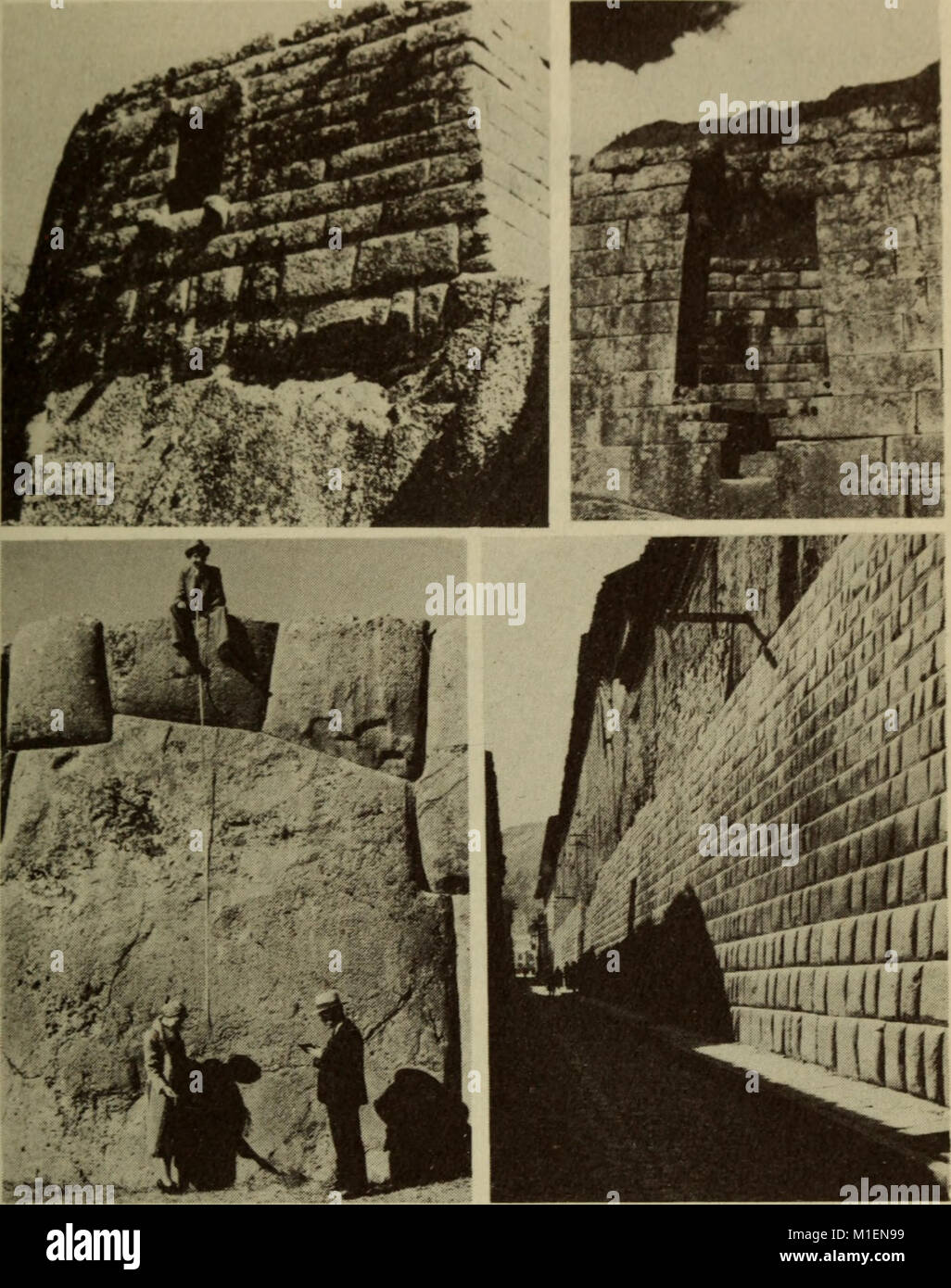 Andean culture history (1964) (18007692808 Stock Photo - Alamy