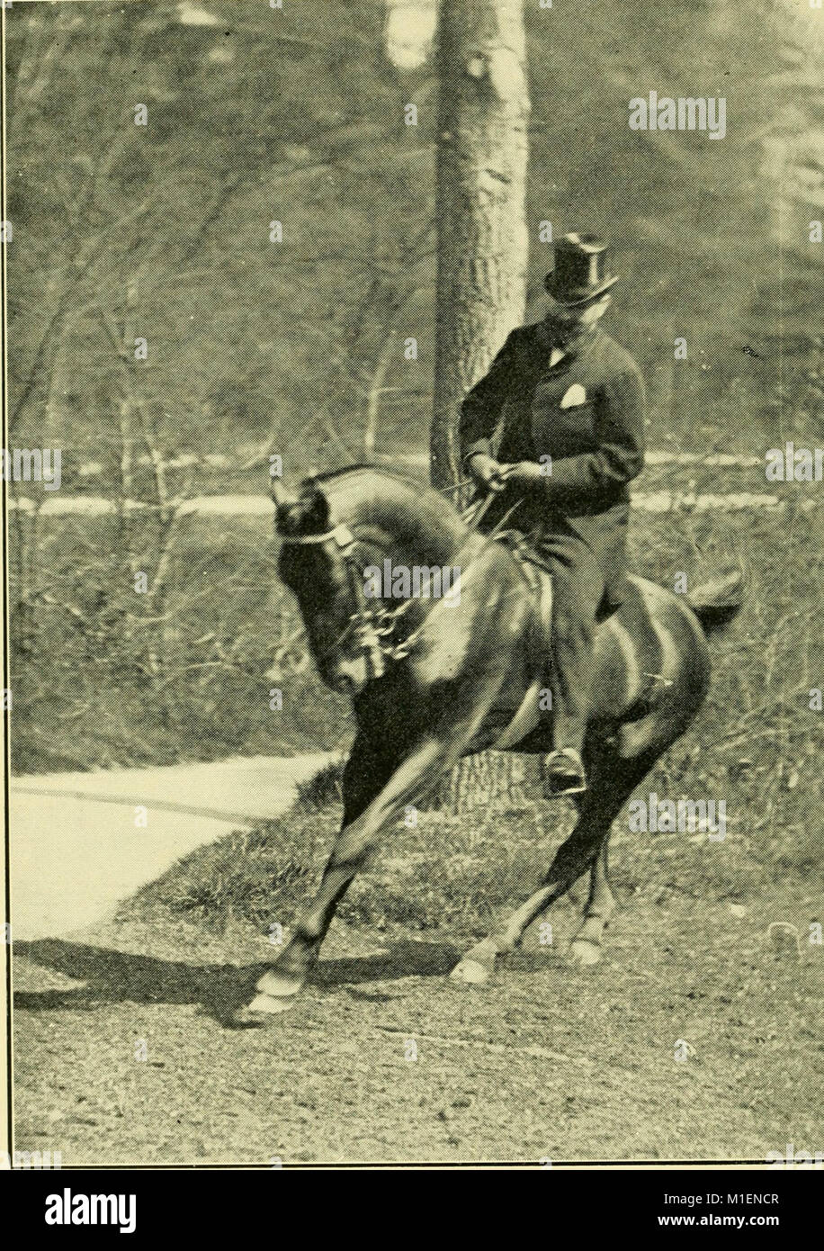 'Anglo-French Horsemanship' (1908) explores the techniques, styles, and ...