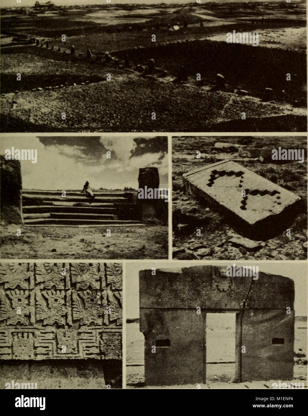 Andean culture history (1964) (18007643608 Stock Photo - Alamy