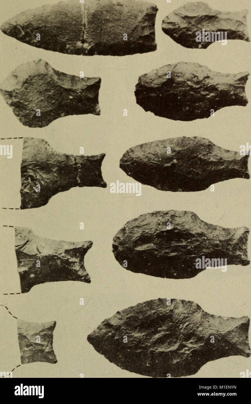 Andean culture history (1964) (18196575681 Stock Photo - Alamy