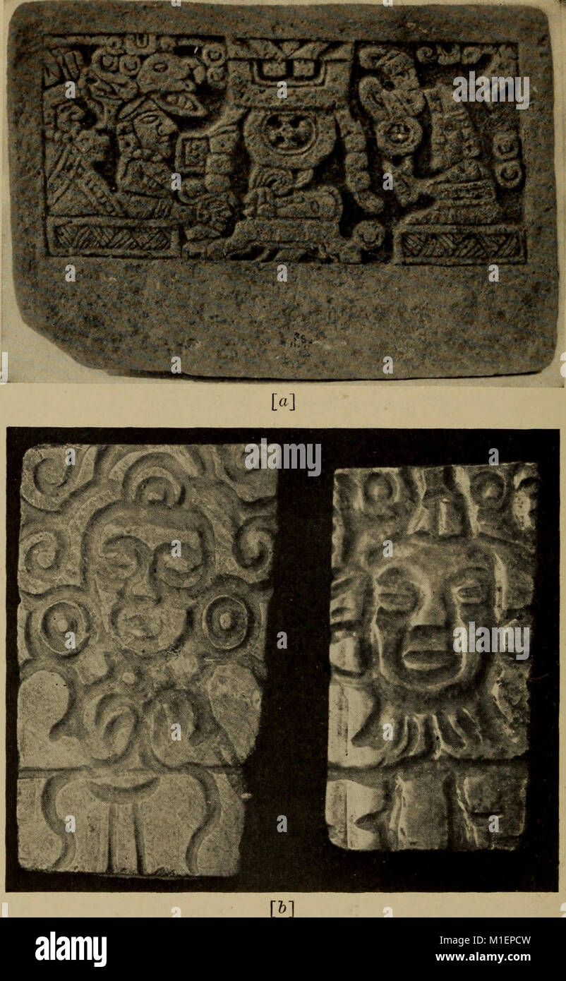 This 1943 work explores the ancient civilizations of Mexico and Central ...