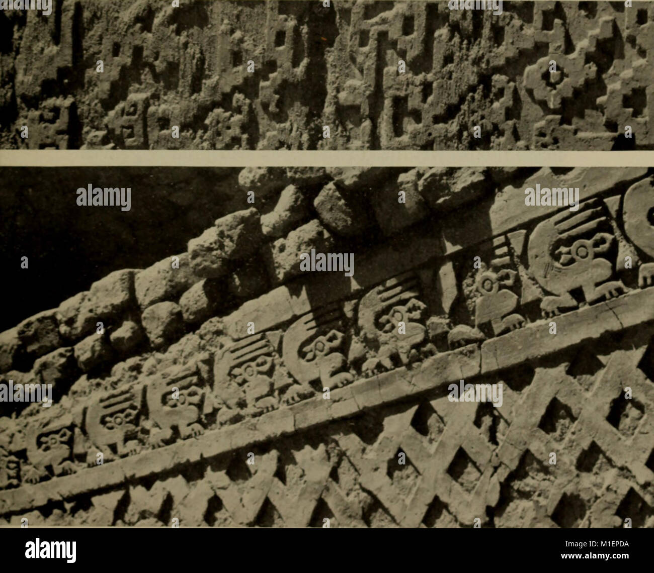 *Andean Culture History* (1949) examines the cultural development of ...