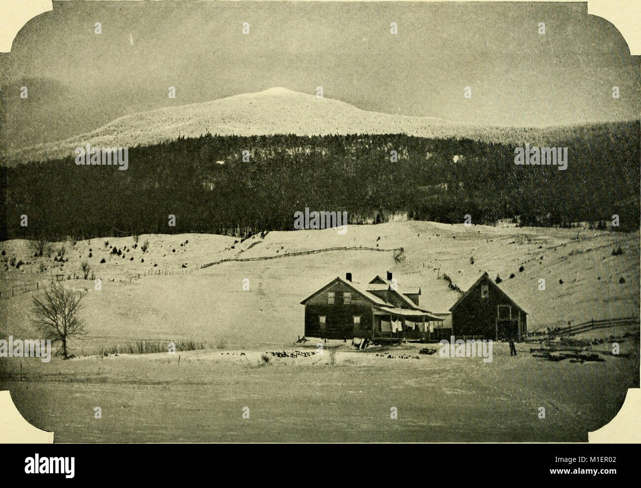 American stallion register - including all stallions prominent in the ...