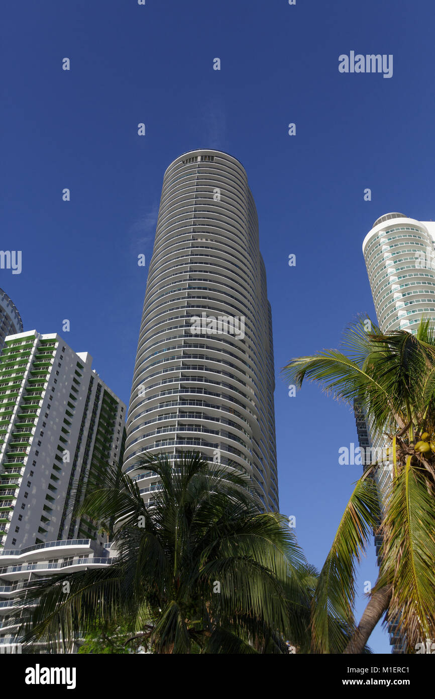 High Rise Miami Hotels on Blue Sky with Palm Trees Stock Photo - Alamy