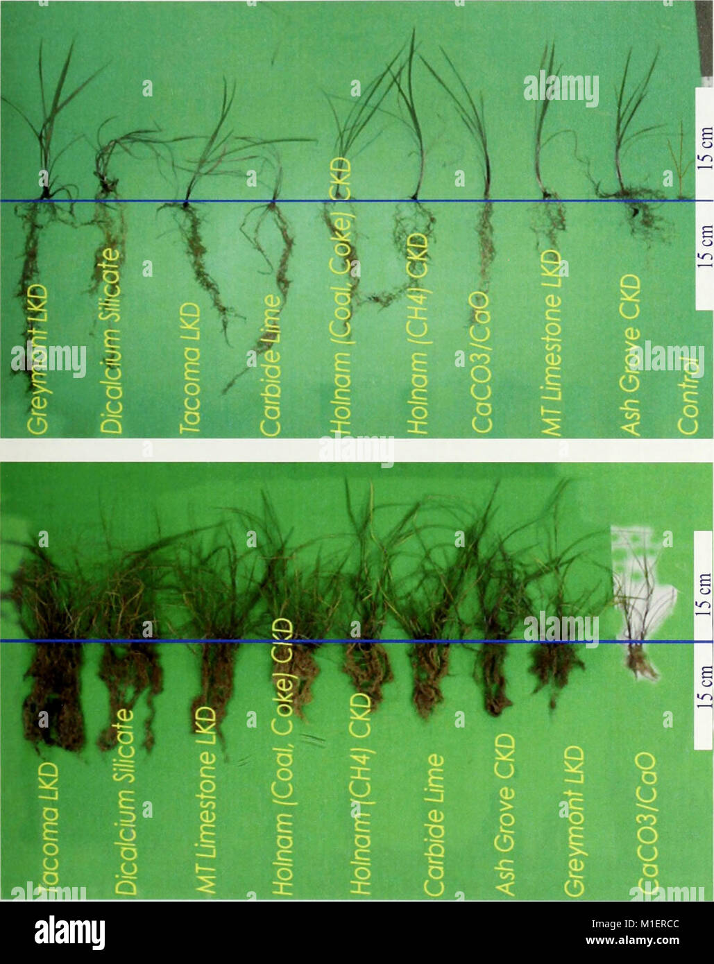Alkaline industrial by-product effects on plant growth in acidic ...