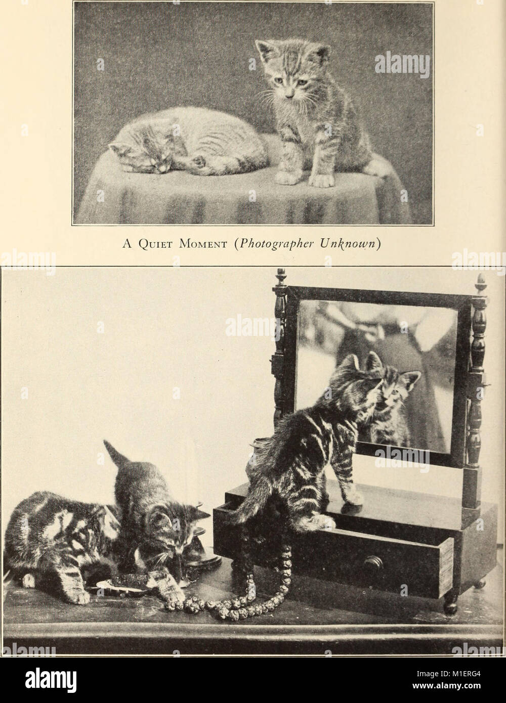 A 1929 publication focusing on Alexander the Great and his encounters ...