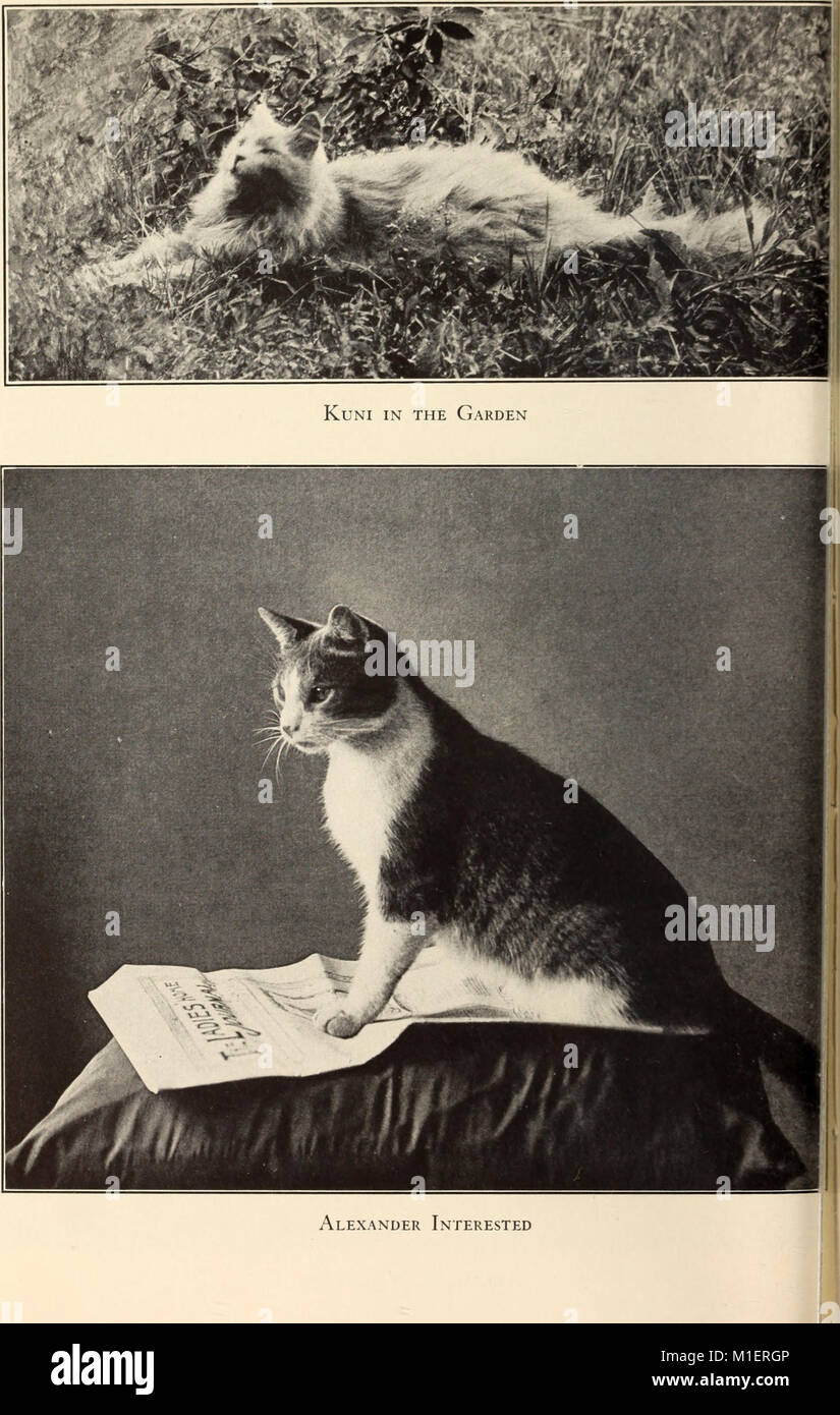 'Alexander and Some Other Cats' (1929) is a collection of stories and ...