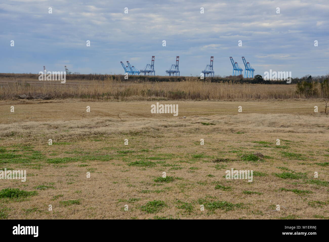State docks background hi-res stock photography and images - Alamy