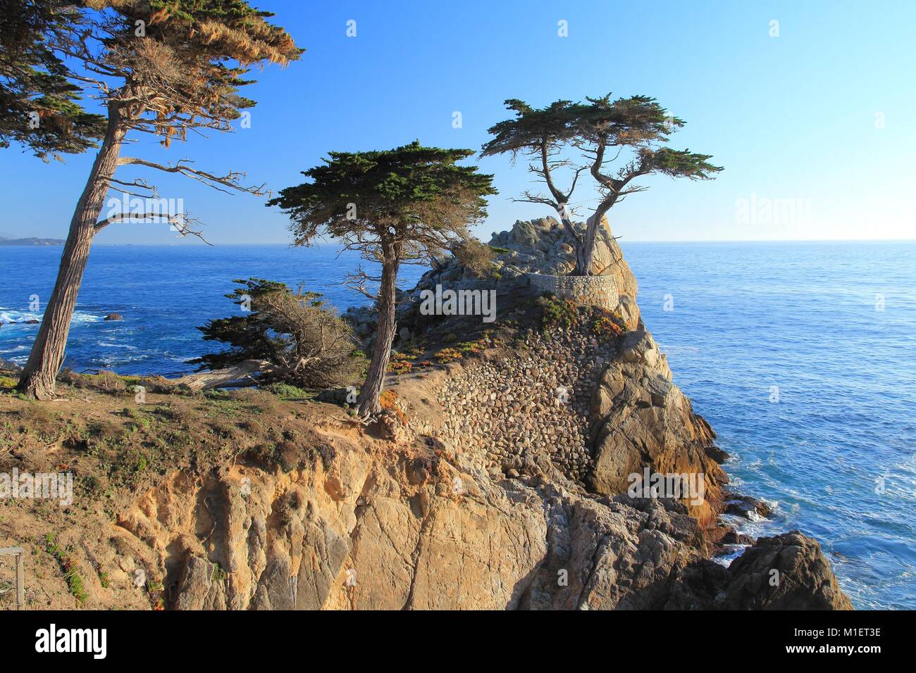 The lone cypress tree hi-res stock photography and images - Alamy