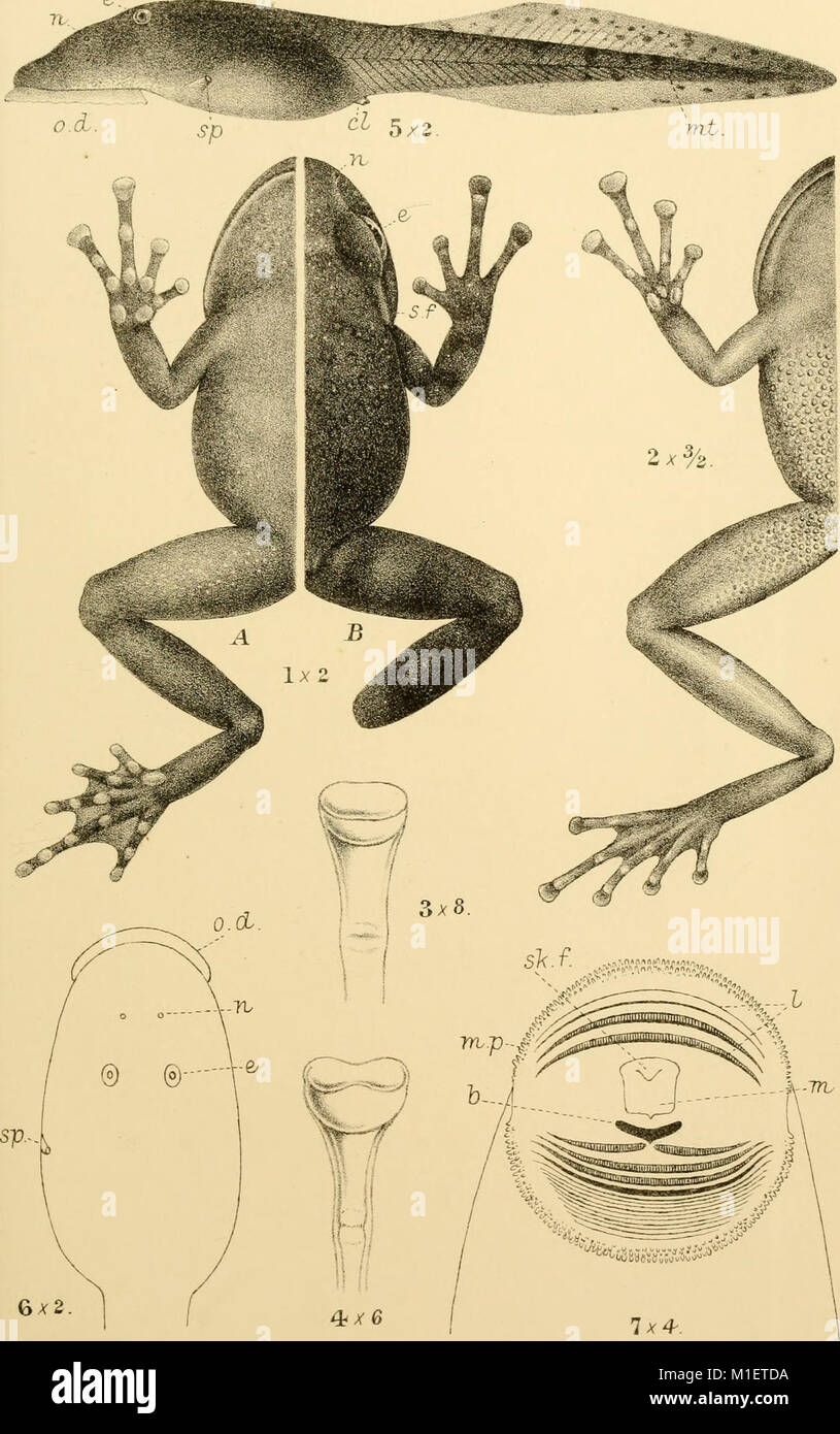 'African Invertebrates' is a journal of biodiversity research published ...