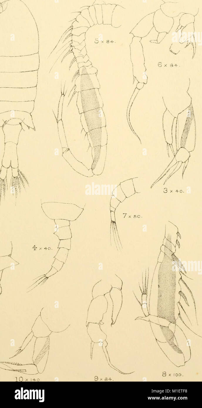 The 'African Invertebrates' journal, published between 1909 and 1916 ...
