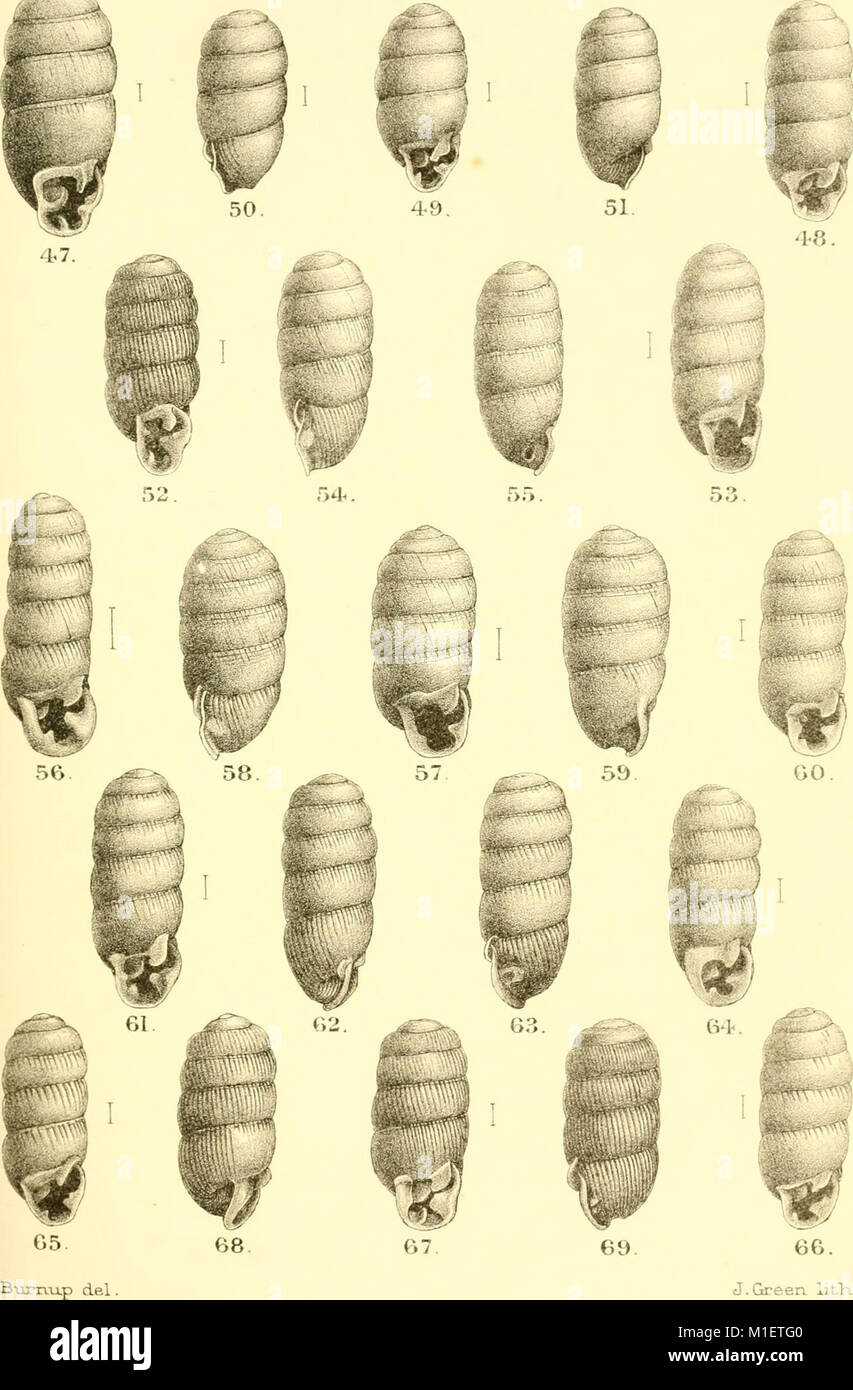 African Invertebrates was a journal of biodiversity research focused on ...