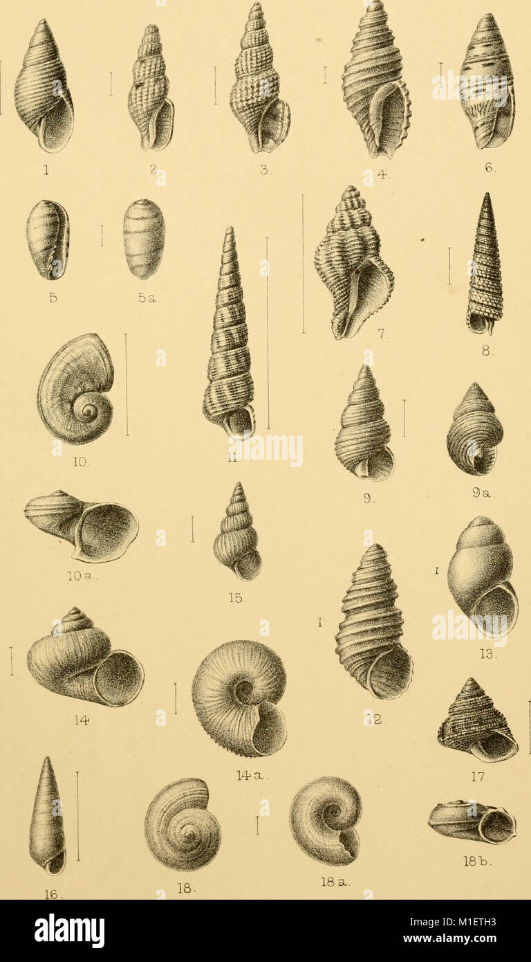 The African Invertebrates journal (1909-1916) focuses on biodiversity ...