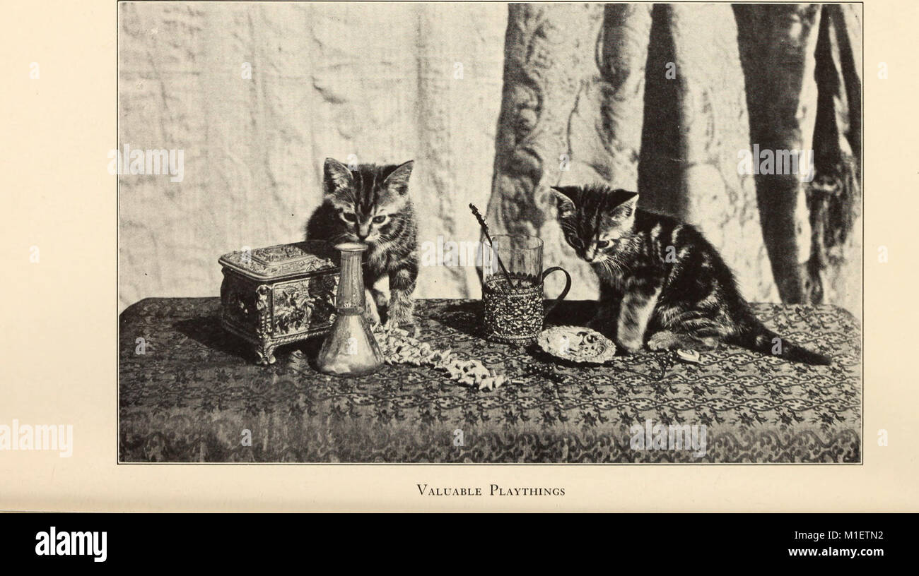 'Alexander and Some Other Cats' (1929) is a whimsical story exploring ...