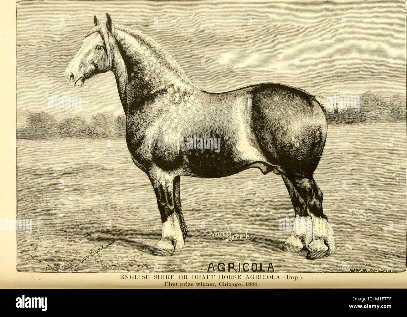 This comprehensive work details the history and development of the ...