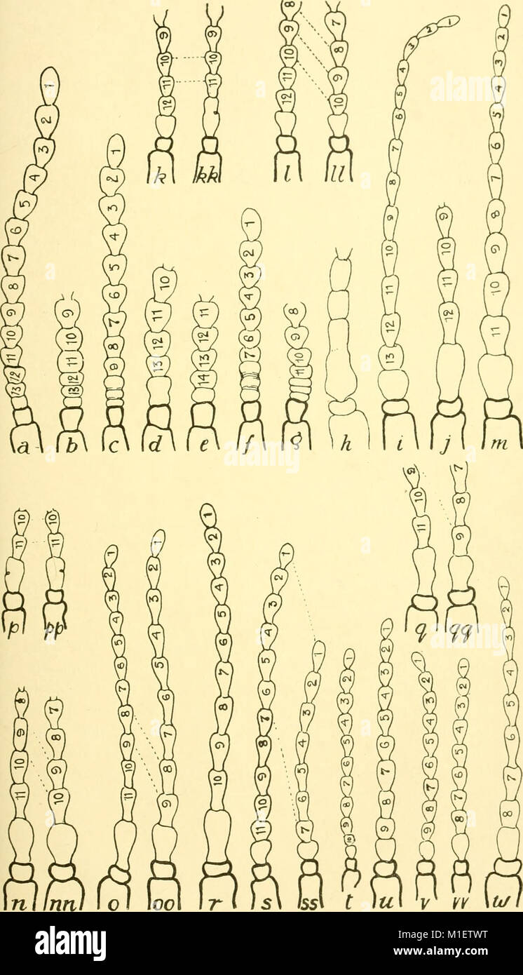 The 'African Invertebrates' journal (1919-1924) is dedicated to ...