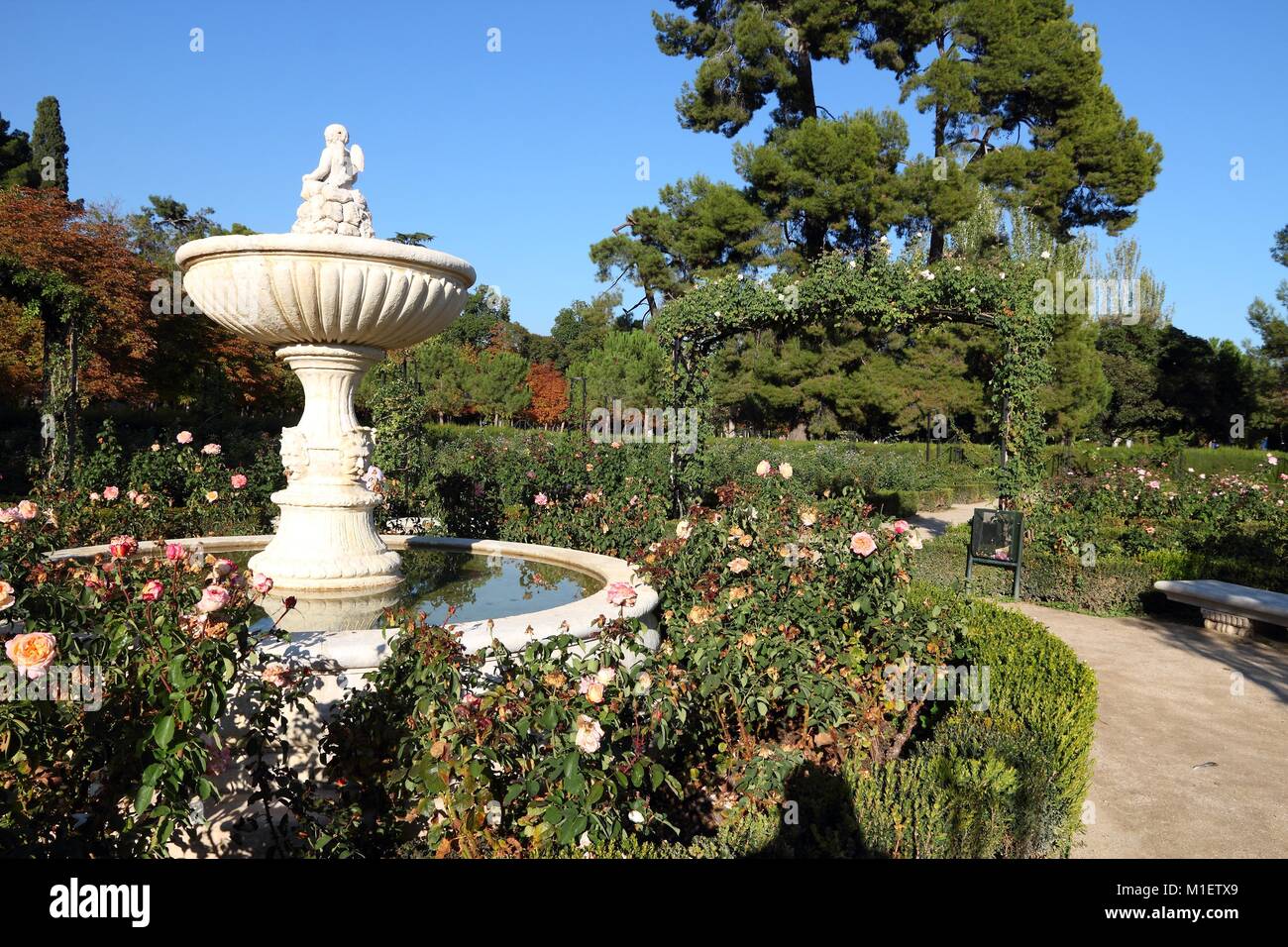 Madrid, capital city of Spain. Rose garden (rosarium) in Retiro Park ...