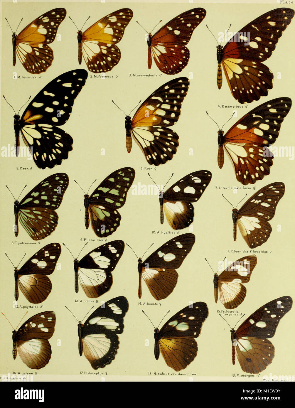 This work describes the mimicry in African butterflies, particularly in ...