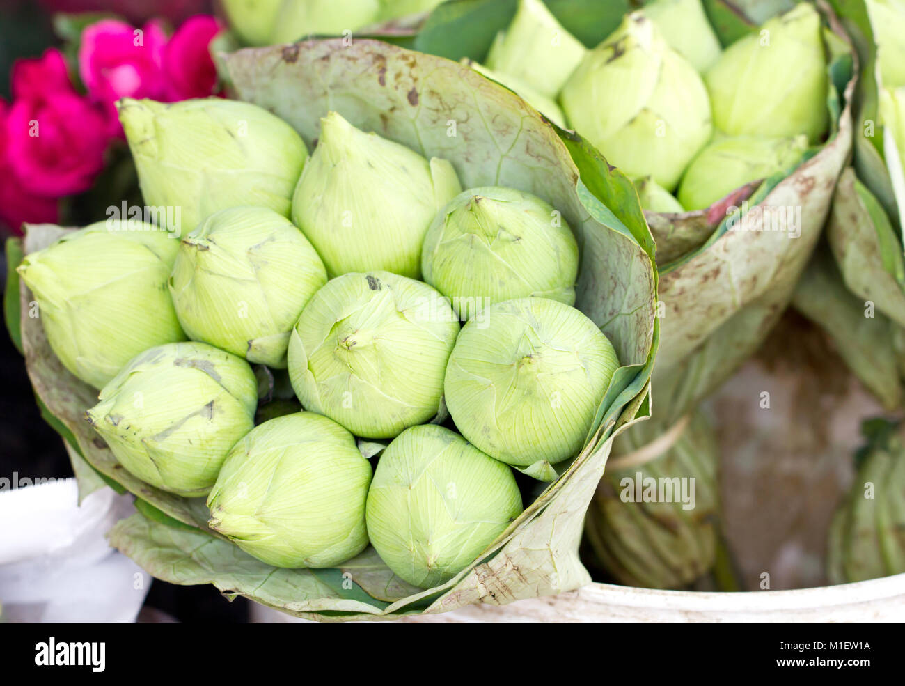 Green lotus bunch wrap by lotus leaves in market Stock Photo - Alamy