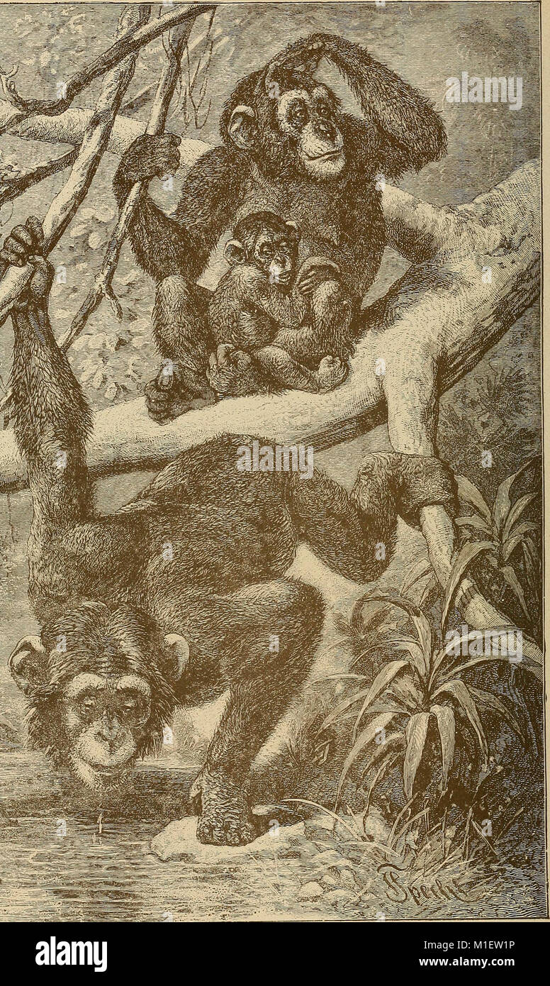 'Adventure-Travel-Exploration' (1909) details accounts of adventurous ...