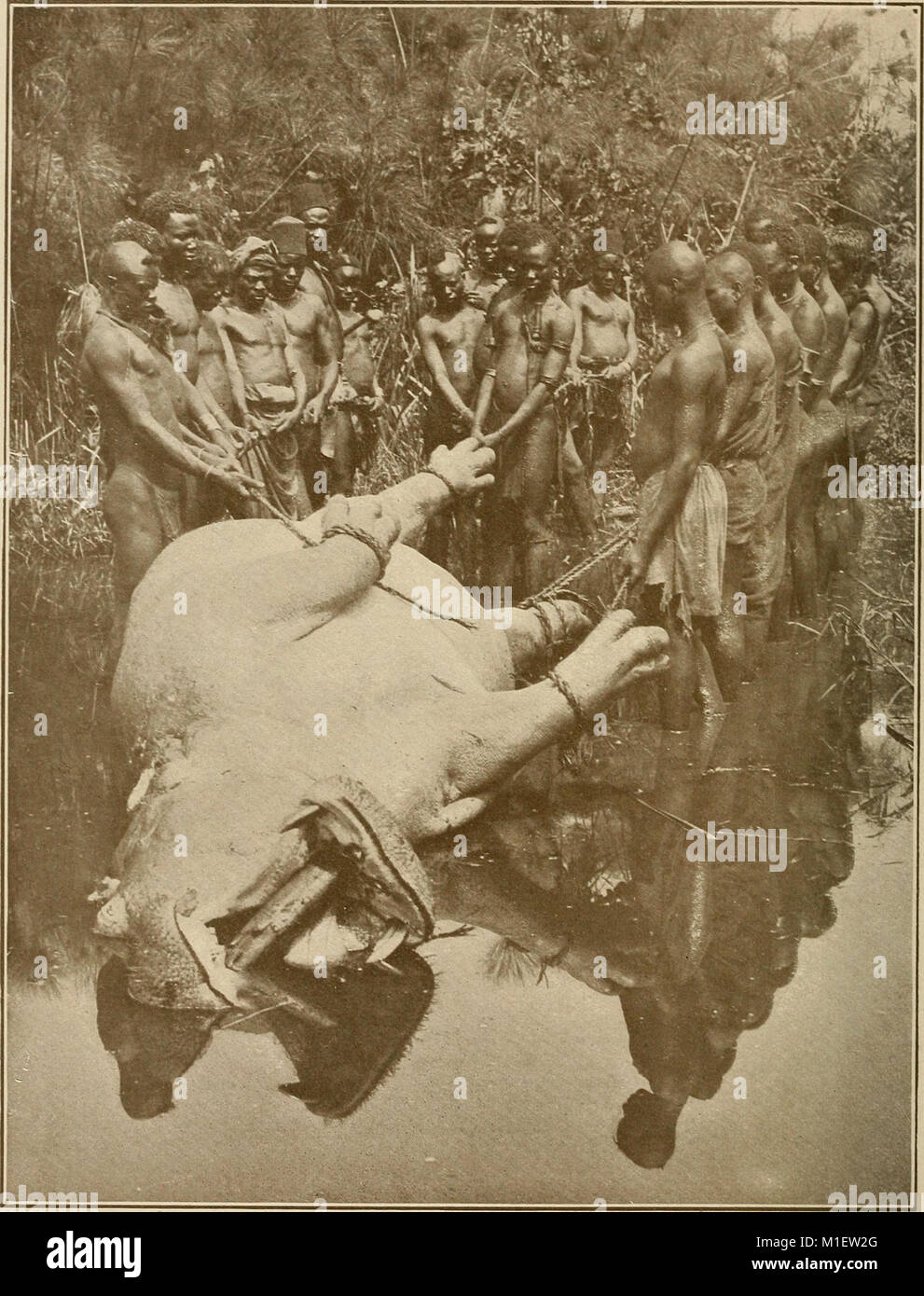 Adventure-Travel-Exploration (1909) is a work documenting early 20th ...