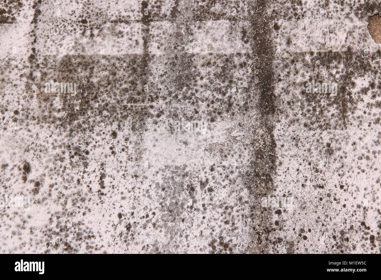 Grungy wall background texture. Architecture detail abstract. Flat ...