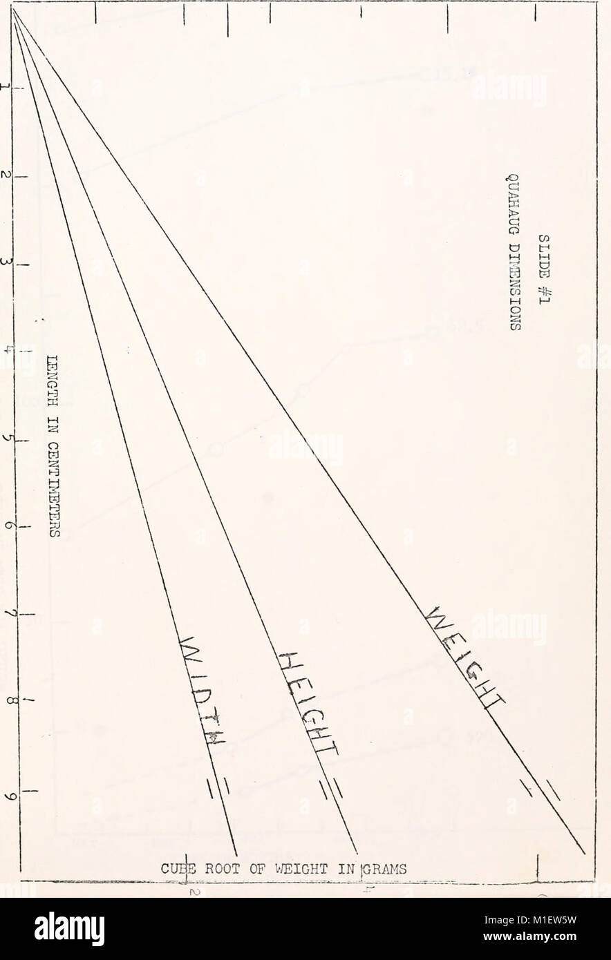 Shellfisheries hi-res stock photography and images - Alamy