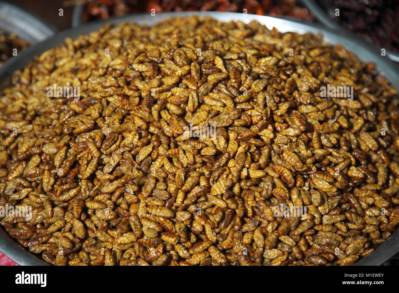 the small town of skuon or spider town cambodia where all sorts of ...