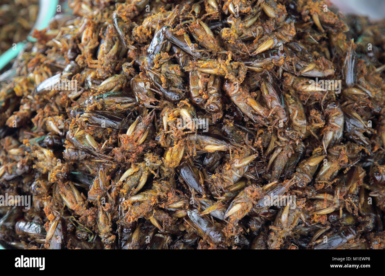 the small town of skuon or spider town cambodia where all sorts of ...