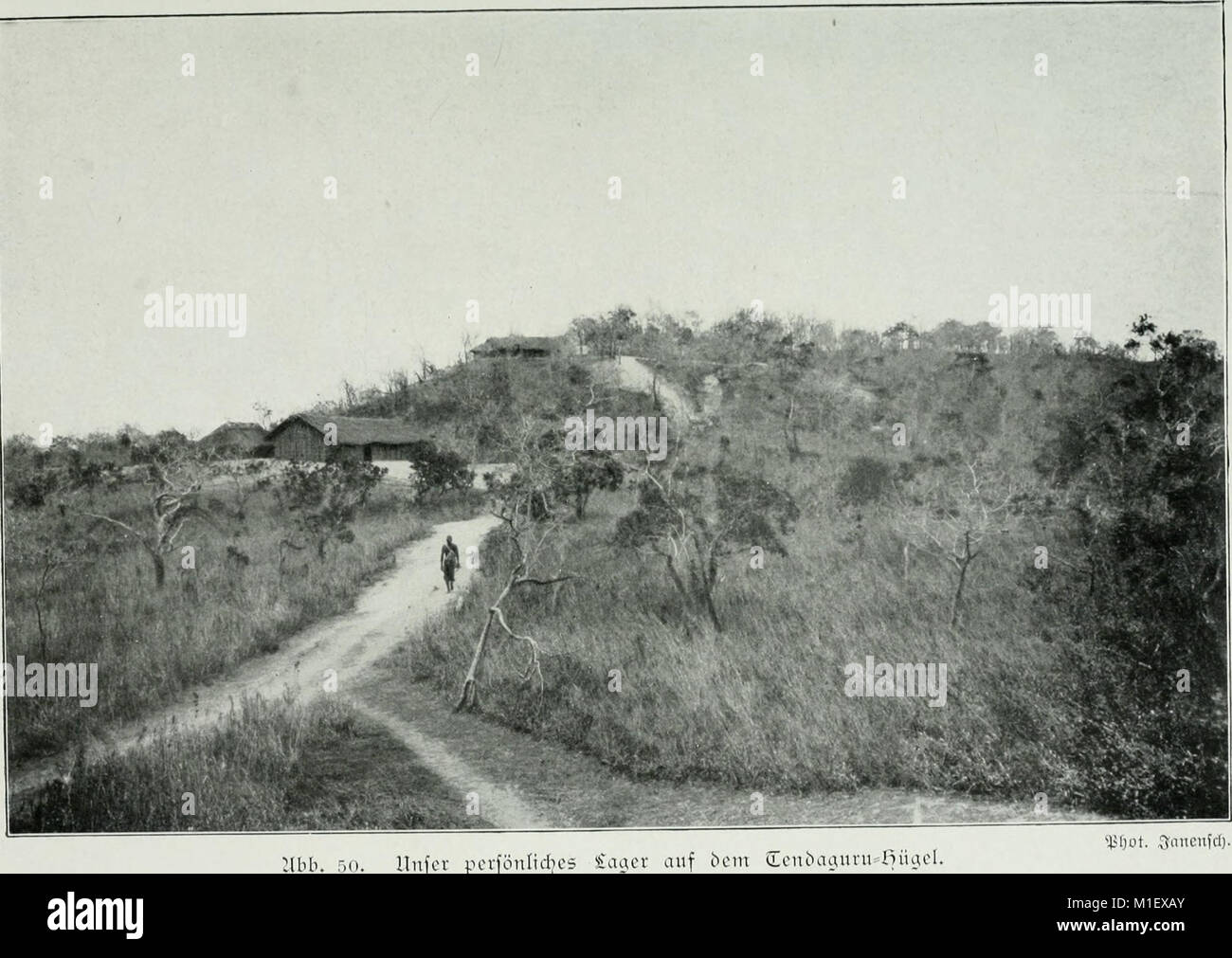 Am Tendaguru, published in 1912, details a German expedition to ...