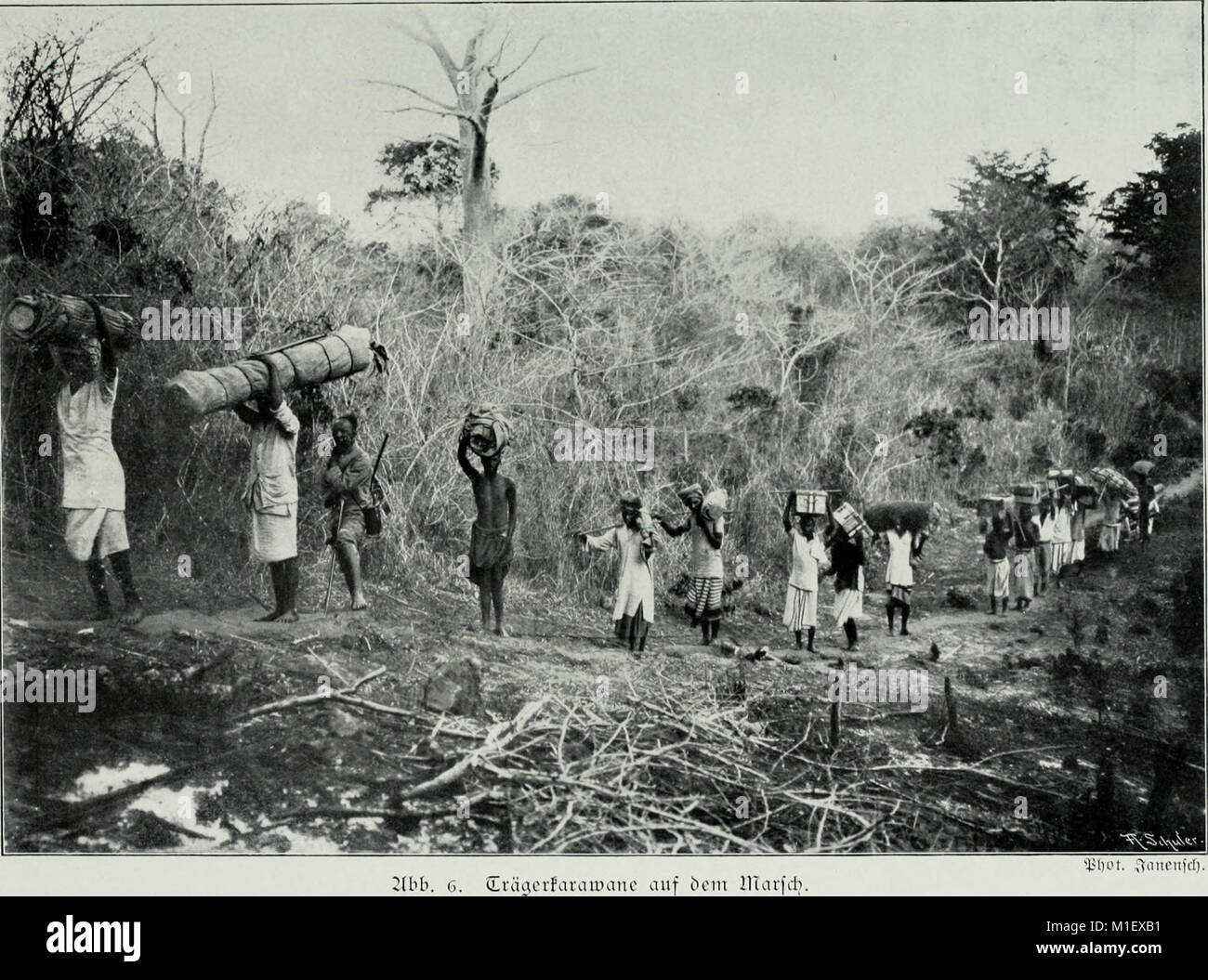 'Am Tendaguru' (1912) describes the German expedition to German East ...