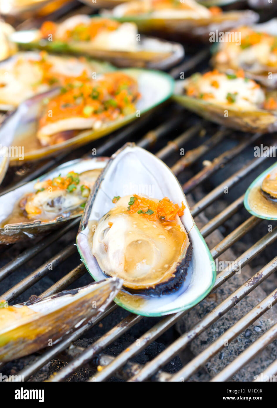 New zealand green shell mussel hi-res stock photography and images - Alamy