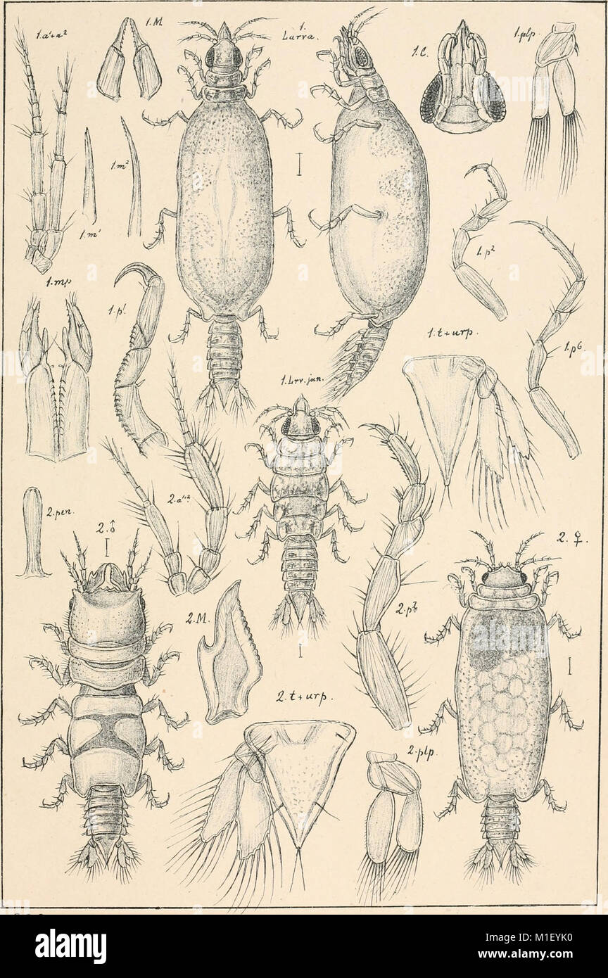 Understanding crustacean biodiversity hi-res stock photography and ...