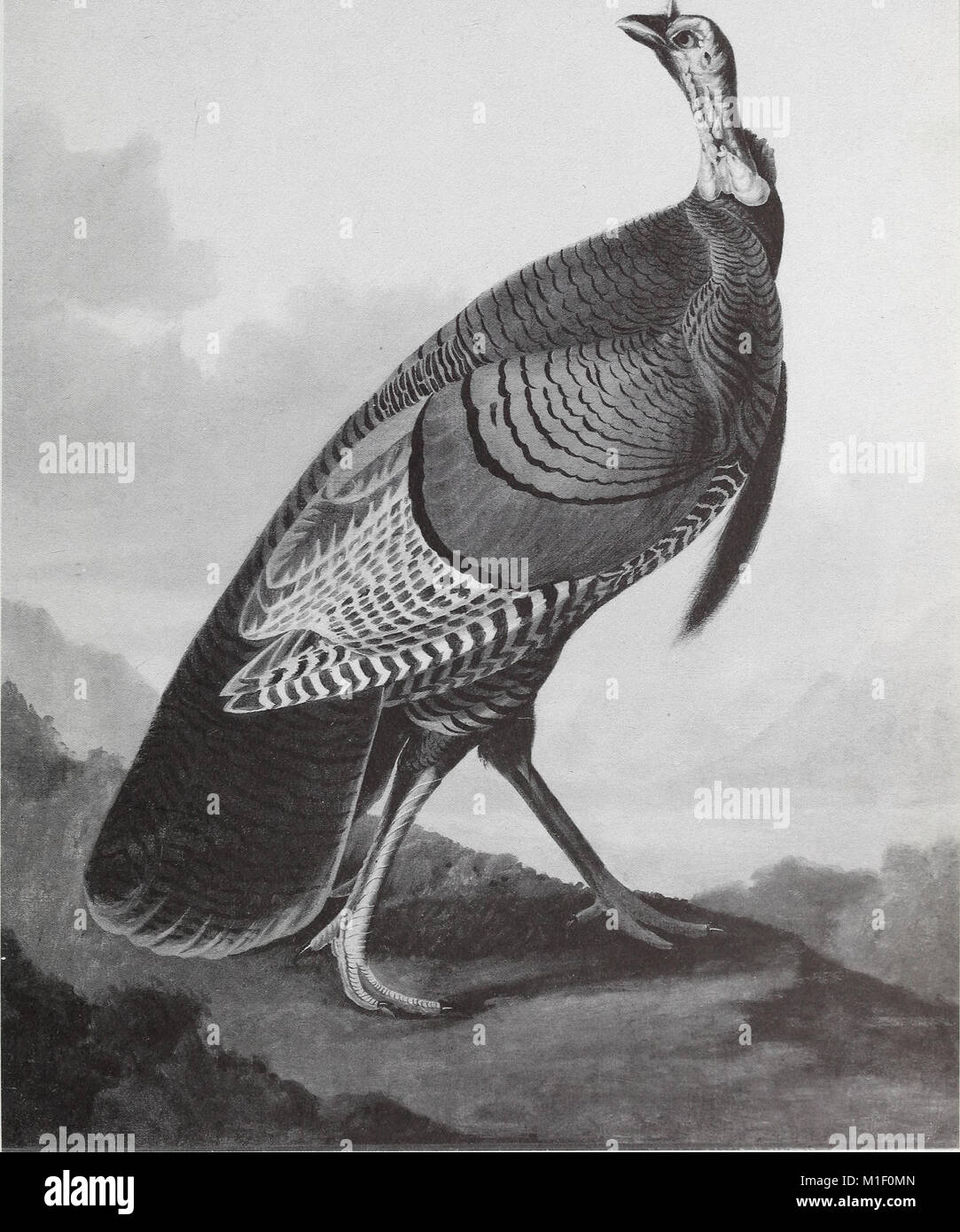 This 1995 catalogue provides a comprehensive listing of portraits ...