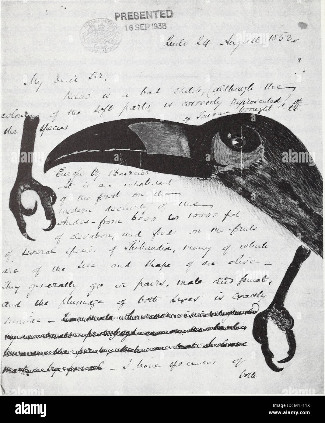 A catalogue of manuscripts and drawings in the General Library of the ...