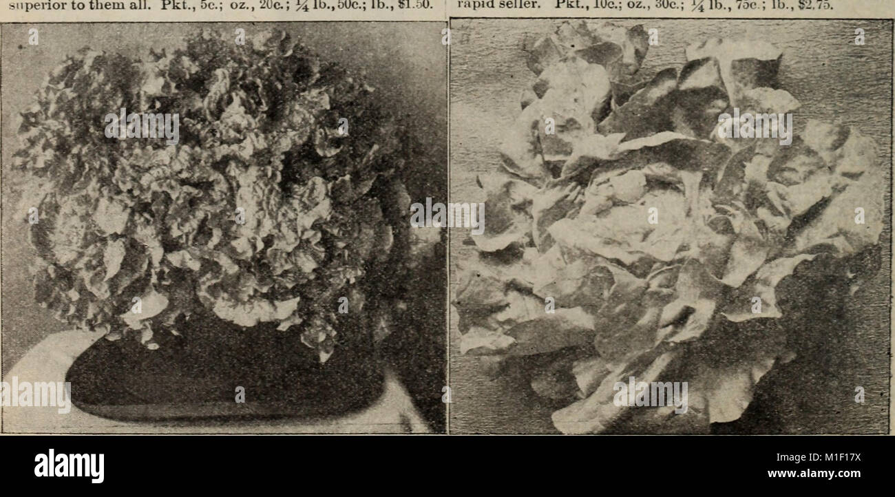 The *1901 Johnson and Stokes Garden and Farm Manual* provides advice on ...