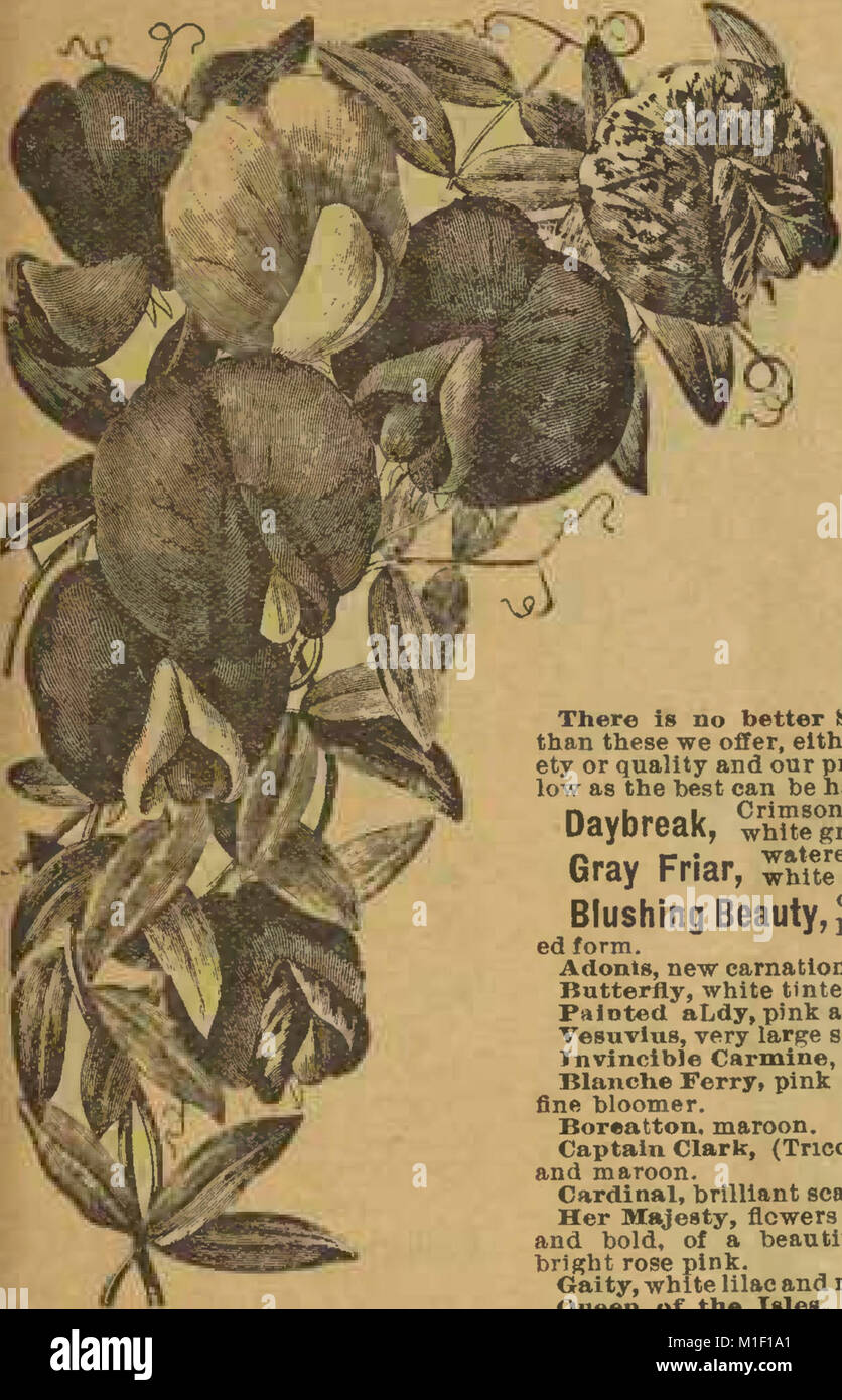 The 20th Year (1903) publication reflects on milestones and events of ...