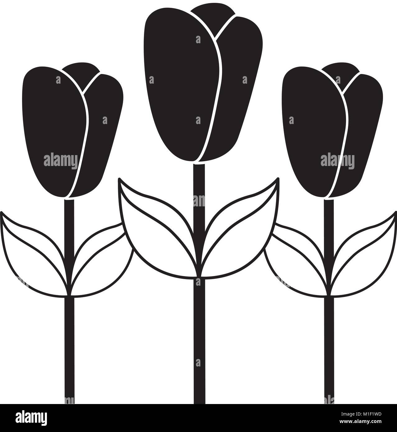 decoration three stem petal flower leaf botanical vector illustration ...