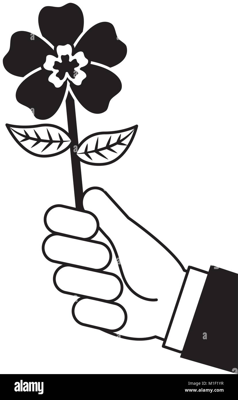 hand holding beautiful flower nature vector illustration Stock Vector ...