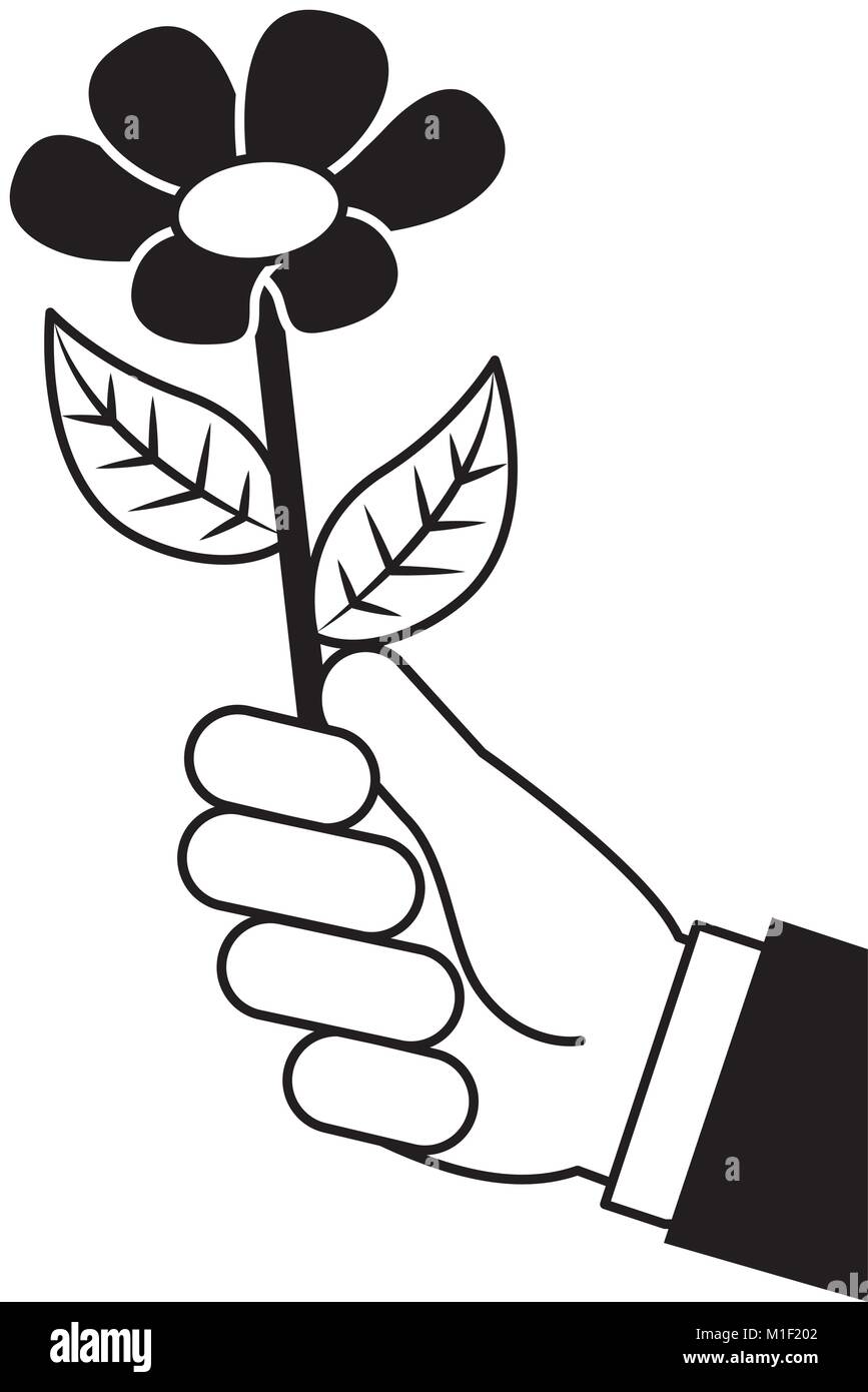 hand holding beautiful flower nature vector illustration Stock Vector ...