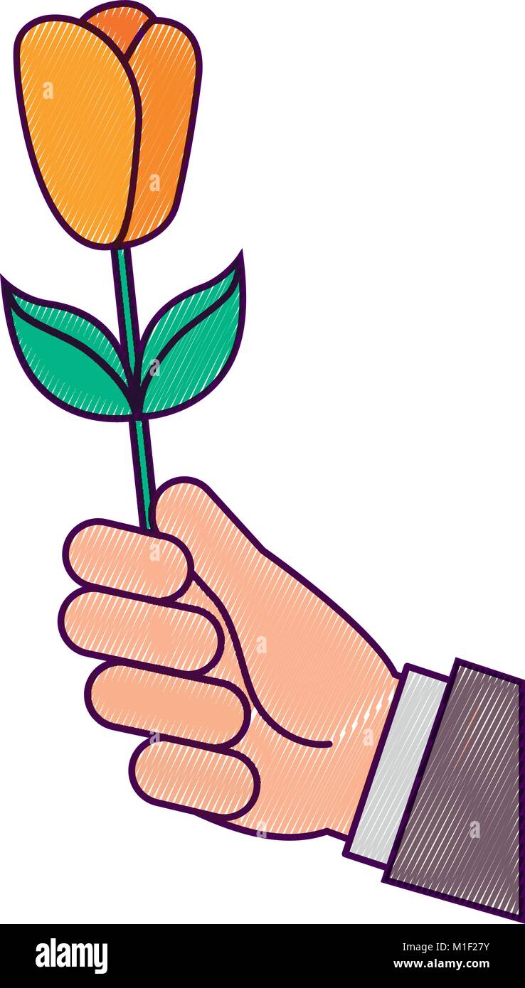 hand holding beautiful flower nature vector illustration Stock Vector ...